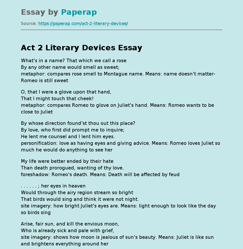 Act 2 Literary Devices Free Essay Example