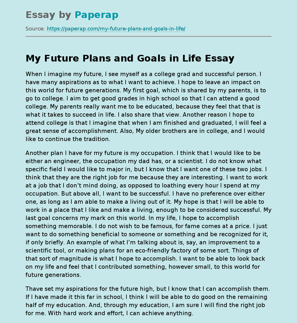 My Future Plans And Goals In Life Free Essay Example