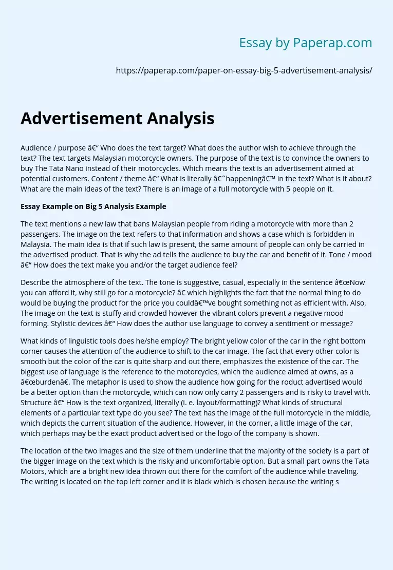 Advertisement Analysis Essay Example