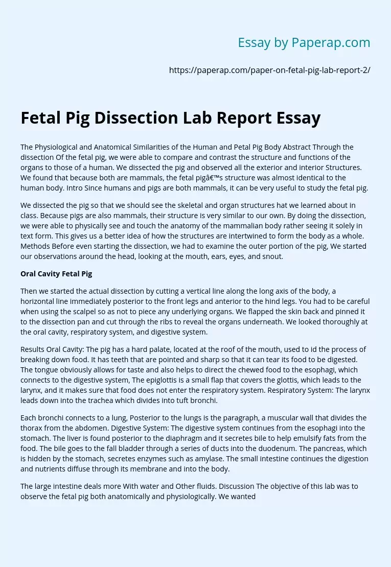  Pig Dissection Lab Report Pig Dissection Lab Report 2022 11 17
