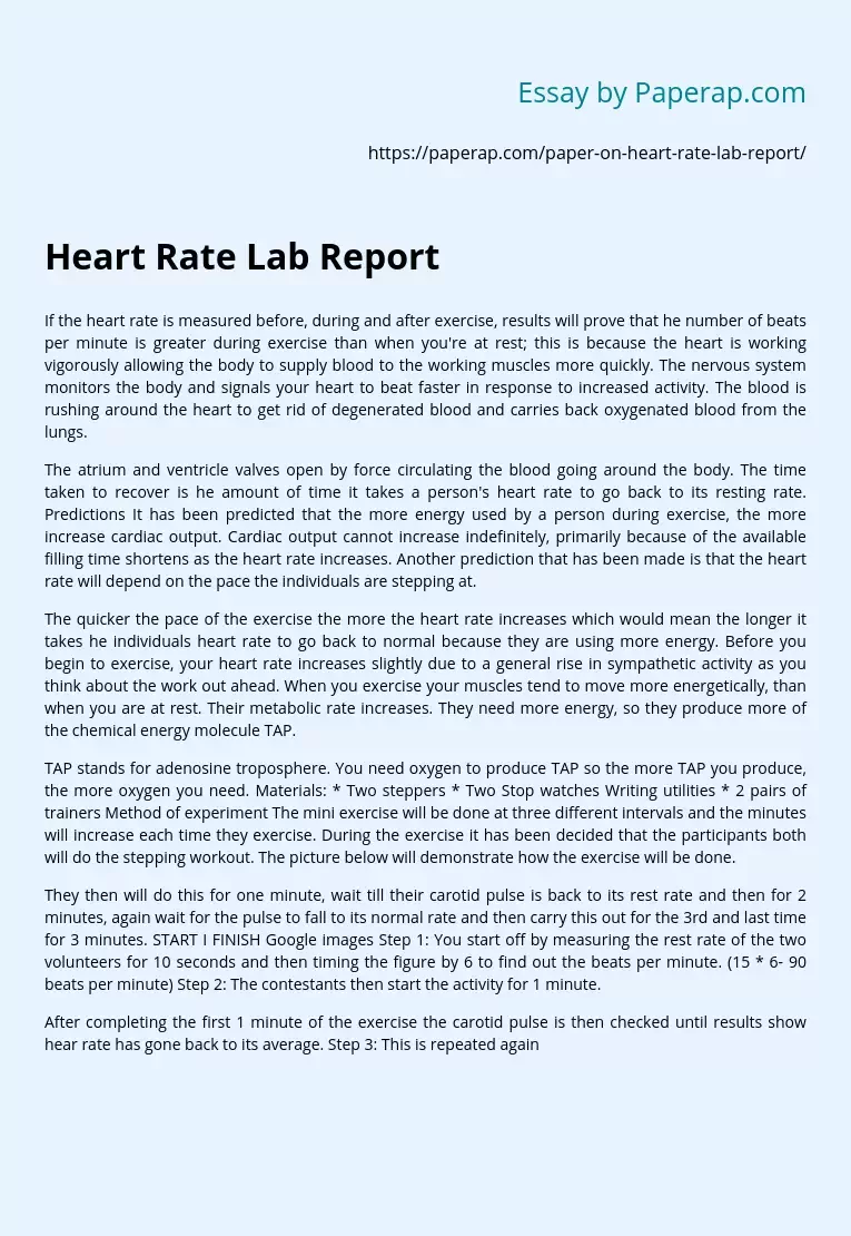 Heart Rate Lab Report Free Essay Example