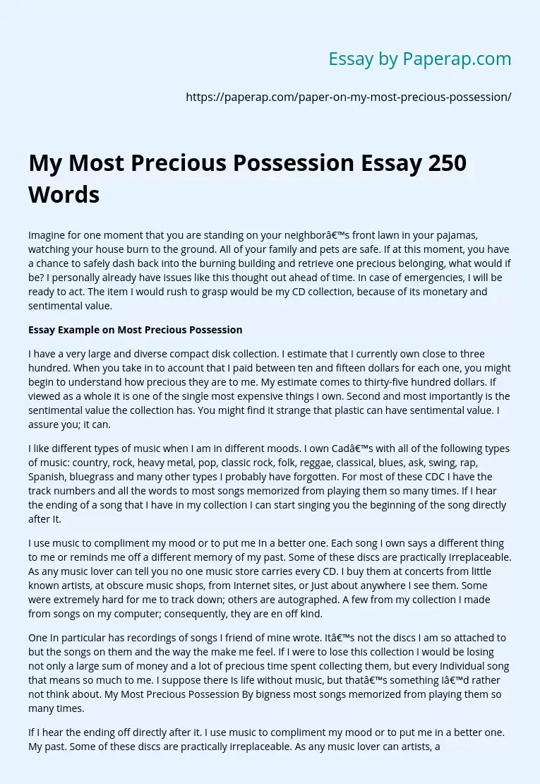 My Most Precious Possession Narrative And Personal Essay Example 300 