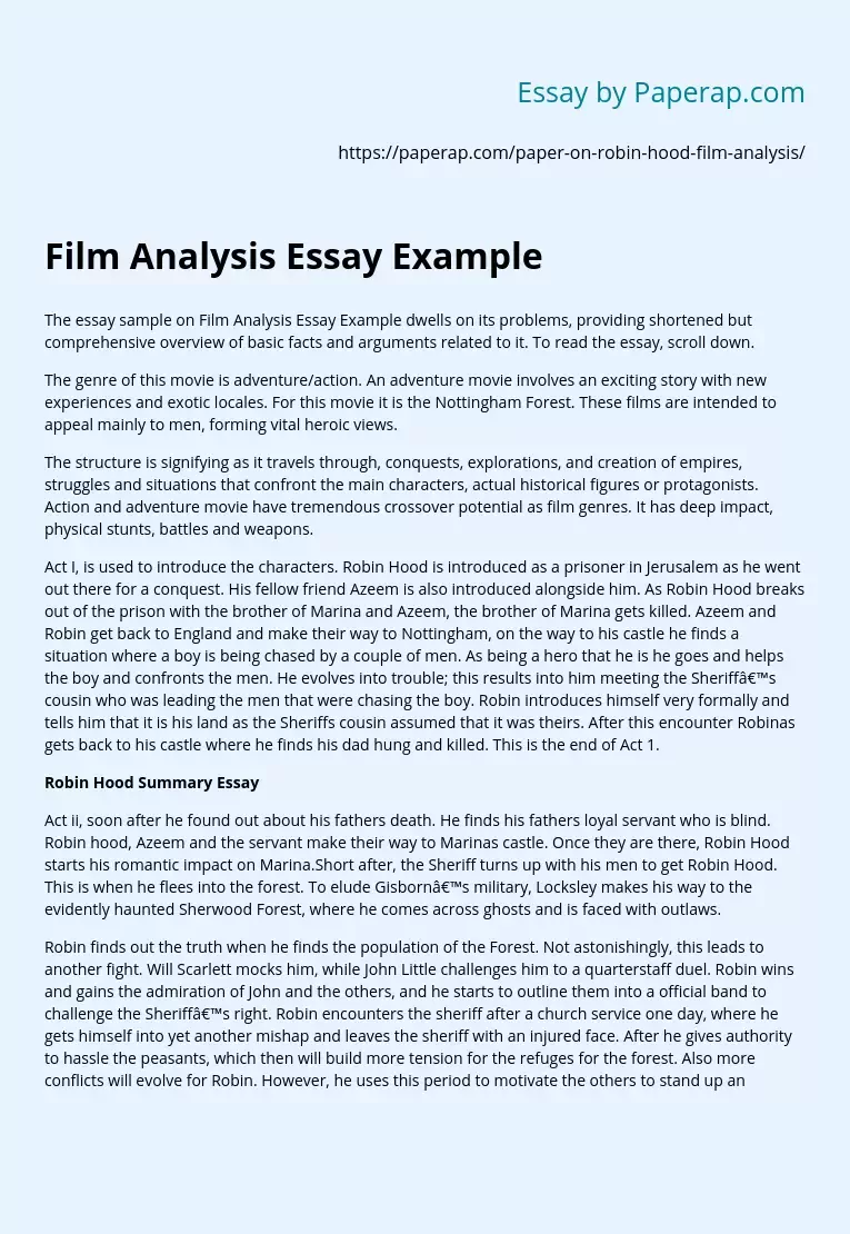Film Analysis Summary Essay Example