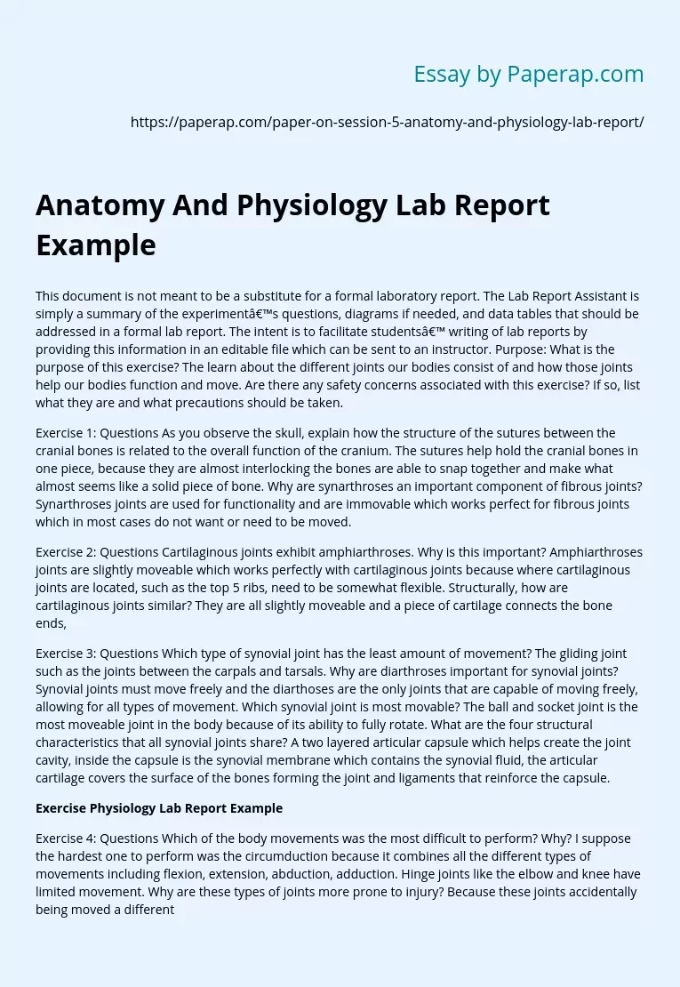 Anatomy And Physiology Lab Report Example Free Essay Example