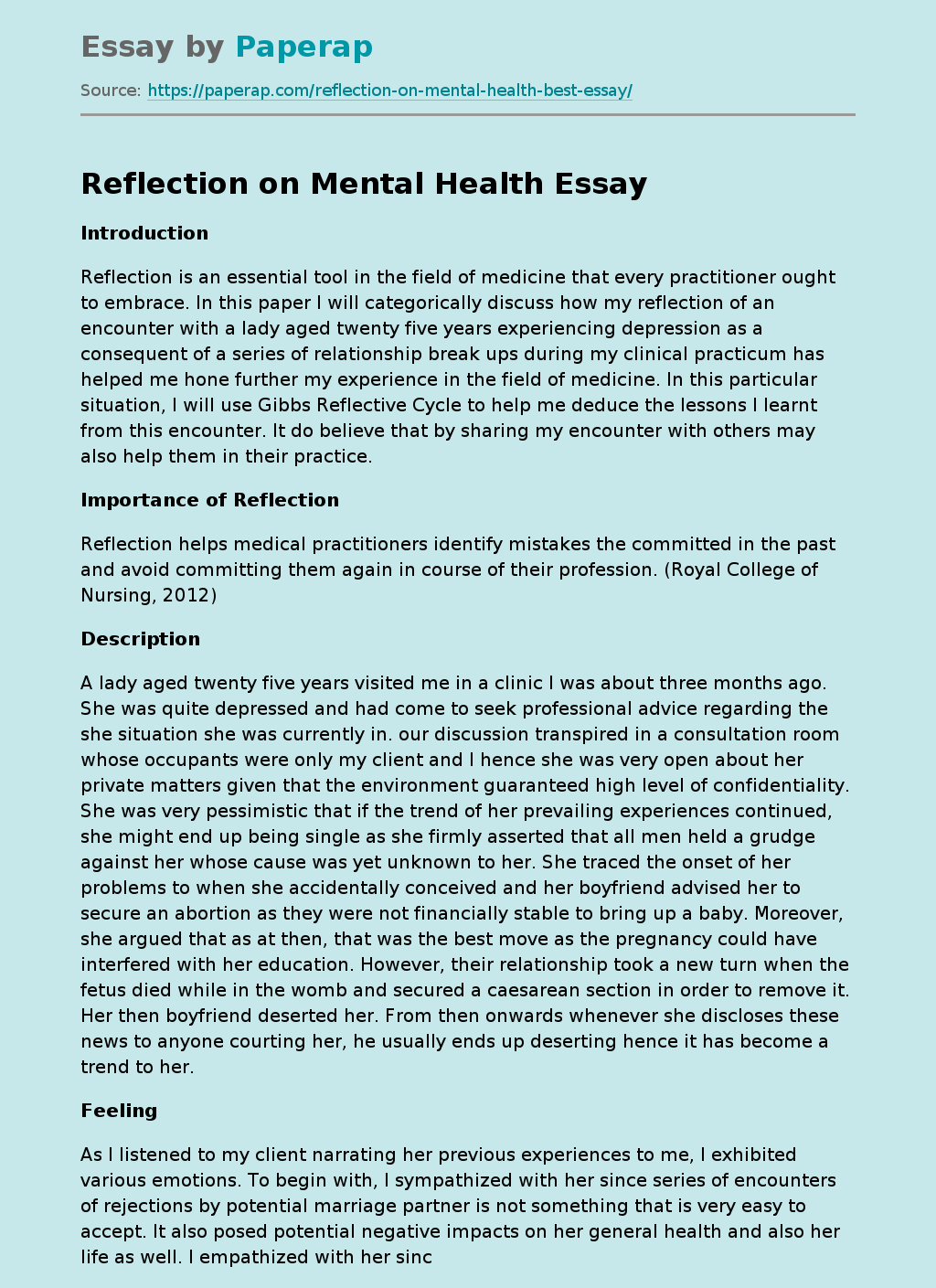 Reflection On Mental Health Essay Sample