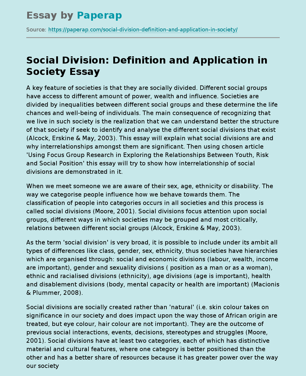 Social Division Definition And Application In Society Essay Example